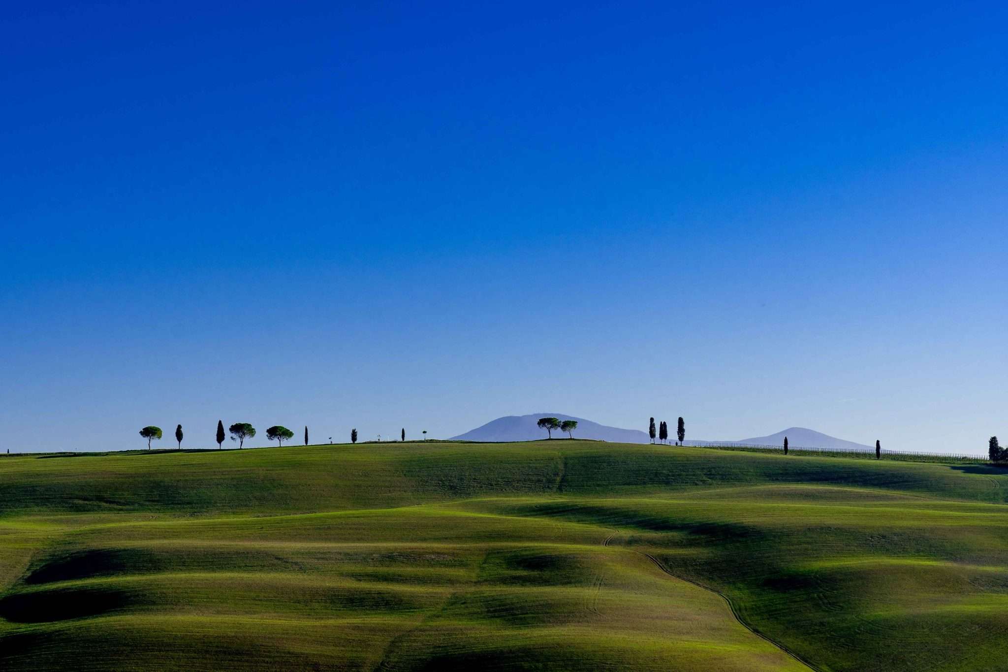 What is a Links Golf Course? Key Features & Challenges